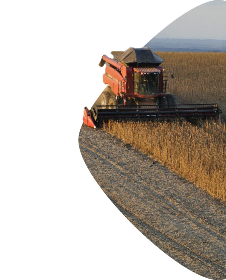 Software de Gestão de Grãos - Software Gestão Rural - MyFarm